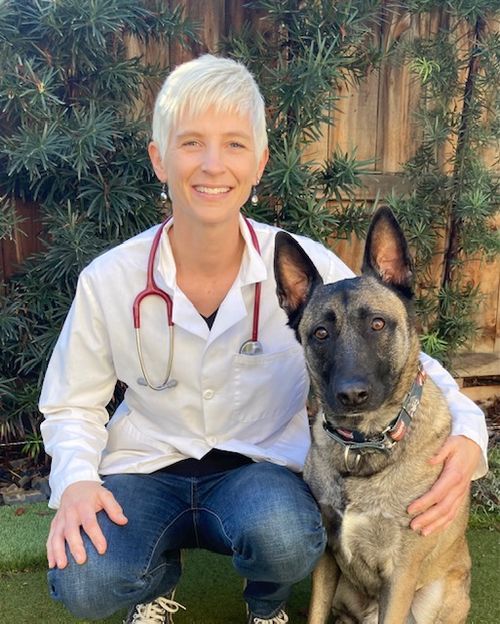 About - CodaPet, Compassionate In-Home Pet Euthanasia